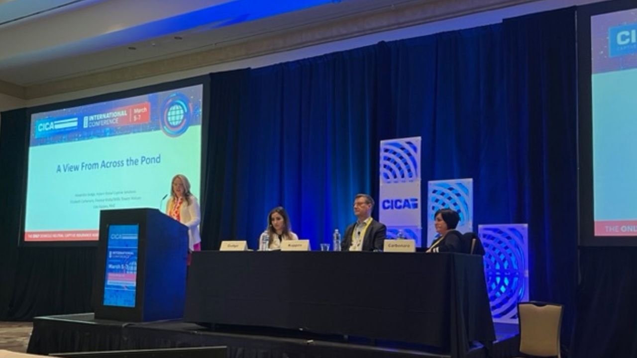 Europe sees increase in captives onshore and offshore | Captive ...